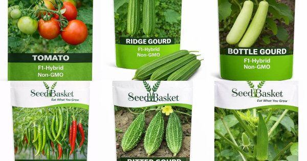 Buy Hybrid Vegetable Seeds Online India @ Low Prices | Seed Basket