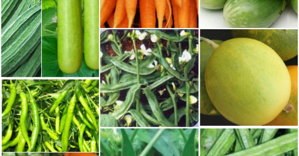 Buy desi vegetable seeds combo pack for home gardening