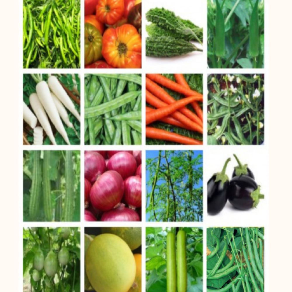 Buy desi vegetable seeds combo pack for home gardening